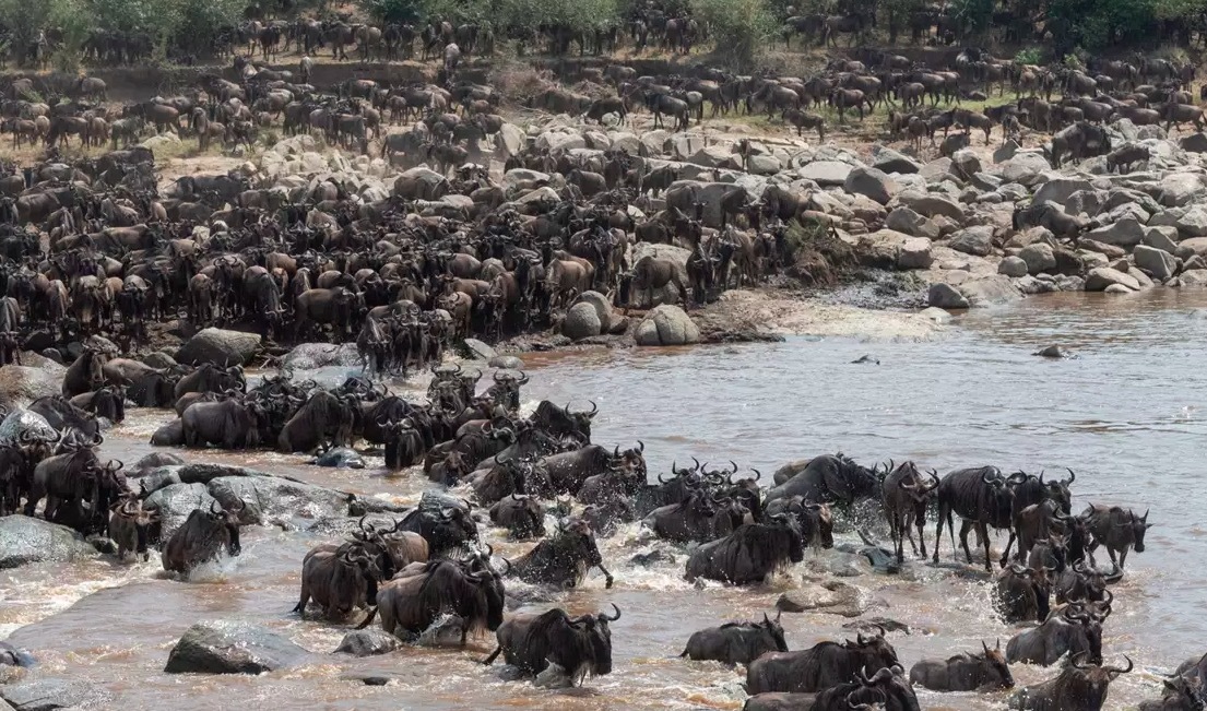 非洲·向野而生 丨坦桑尼亚顶级野奢游猎旅行7天6晚旅行套餐【andByond系列+one nature系列+Asilia系列顶奢营地+国家公园 ...