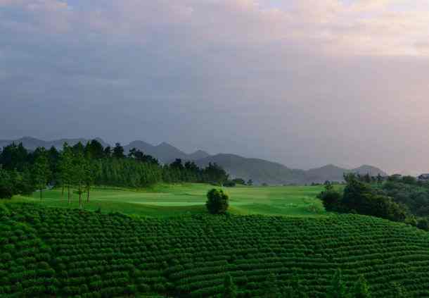 浙江安吉JW万豪酒店预订及价格查询,JW MARRIOTT ZHENJIANG ANJI_八大洲旅游