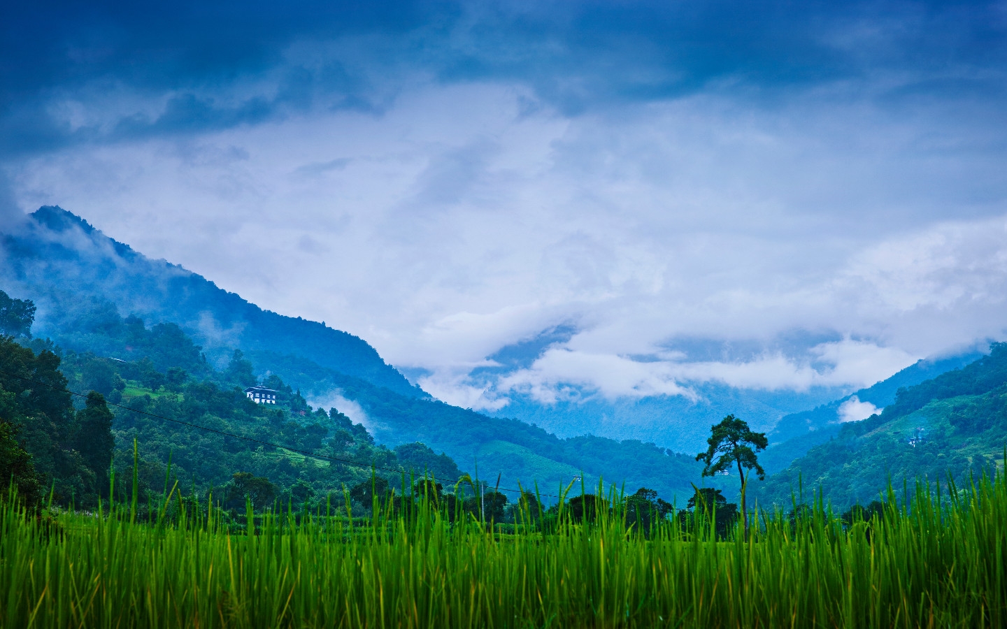 乌玛酒店预订及价格查询,Uma by COMO, Punakha, Bhutan_八大洲旅游